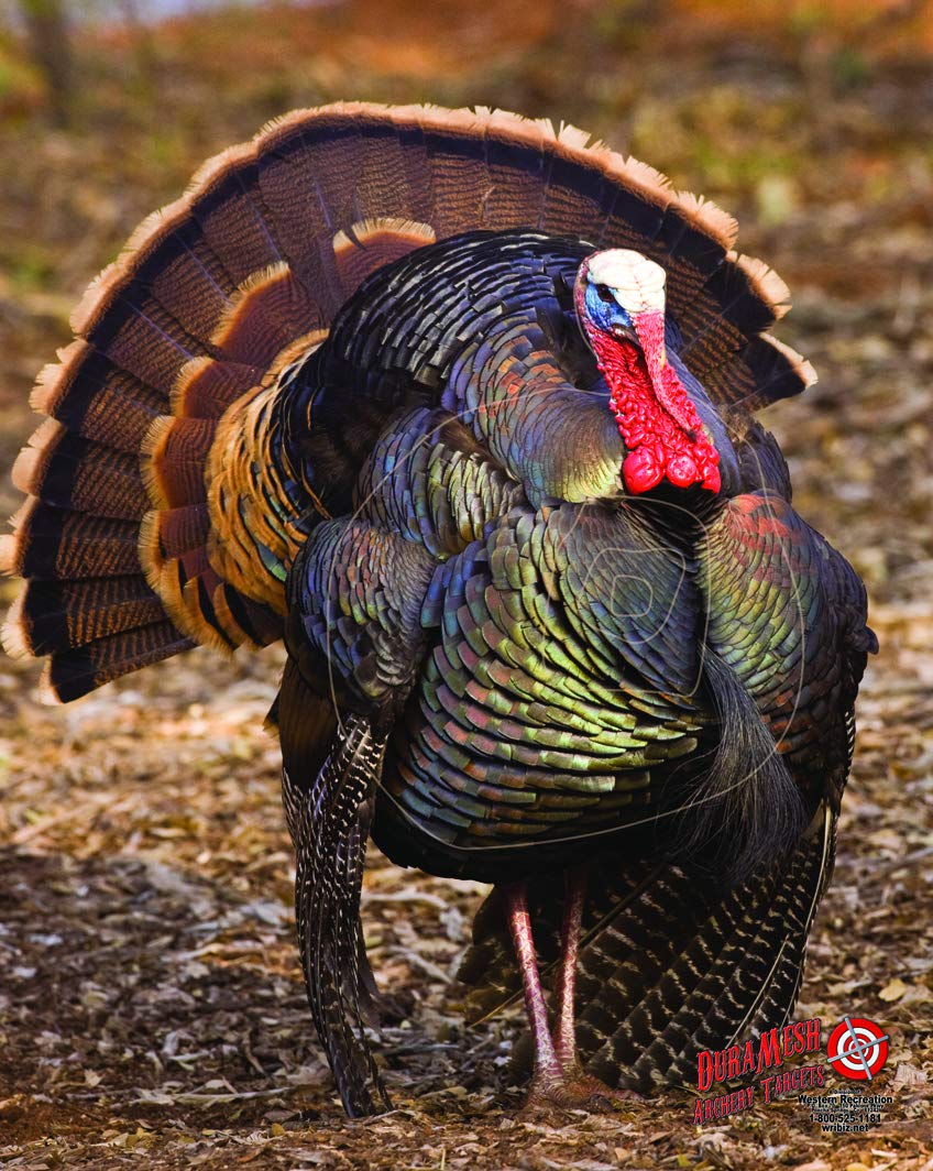 Duramesh Archery Targets Turkey #2, DM218