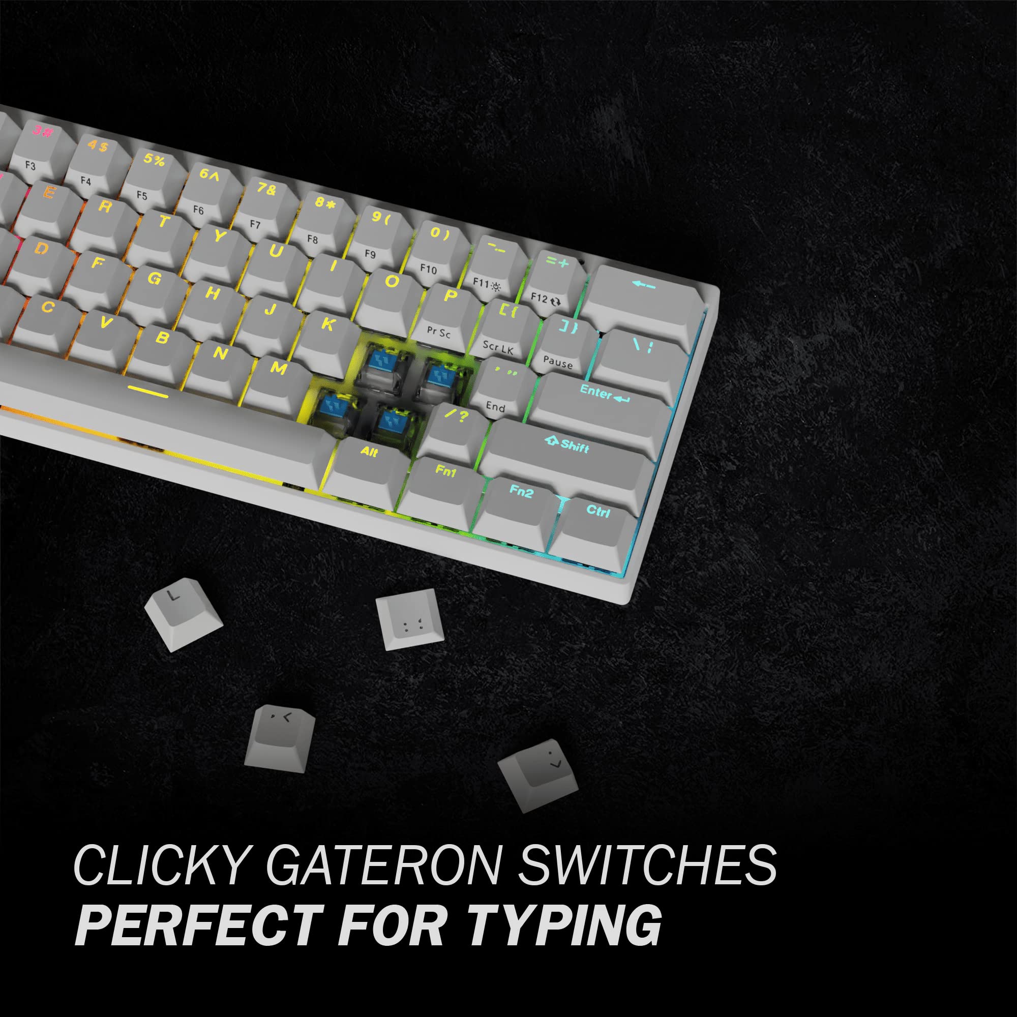 DURGOD HK Venus RGB Mechanical Gaming Keyboard | 60% Layout | USB C Wired | Doubleshot PBT Keycaps | Cherry Profile | NKRO Rollover | Windows & Mac | Aluminium Chassis| Gateron Blue, White