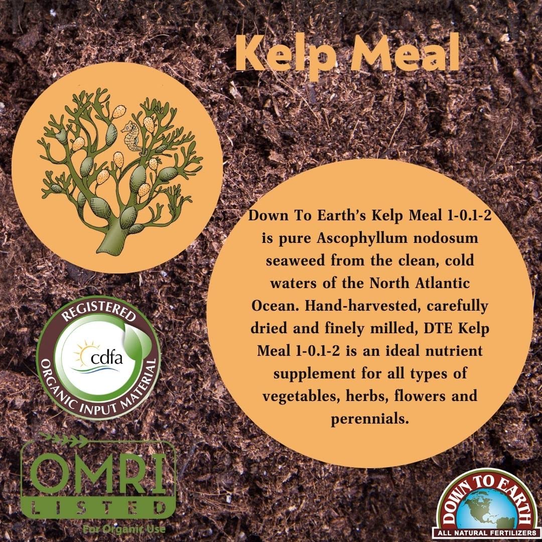 Down To Earth All Natural Fertilizers Tomato Garden Organic Starter Pack, 1 lb Boxes