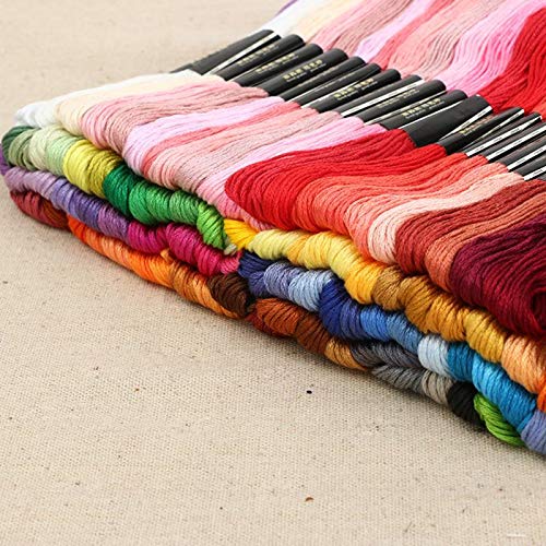 Embroidery Floss Thread Rainbow Color Cross Stitch Threads Friendship Bracelet String DIY Handmade Craft Premium Multi-Colored Floss (100)