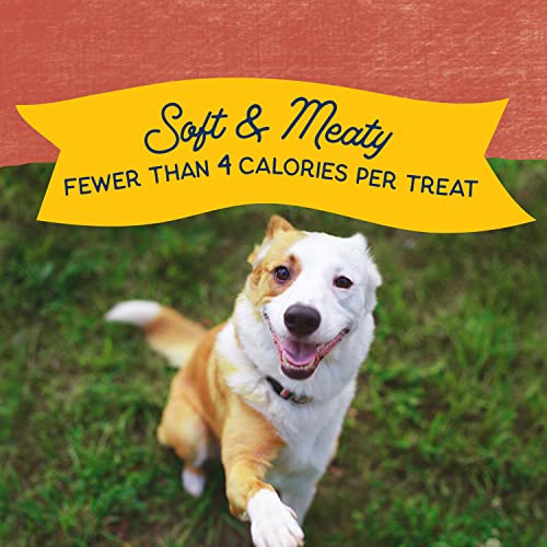 Natural Balance Limited Ingredient Mini-Rewards Salmon Grain-Free Dog Training Treats for Dogs | 5.3-oz. Canister