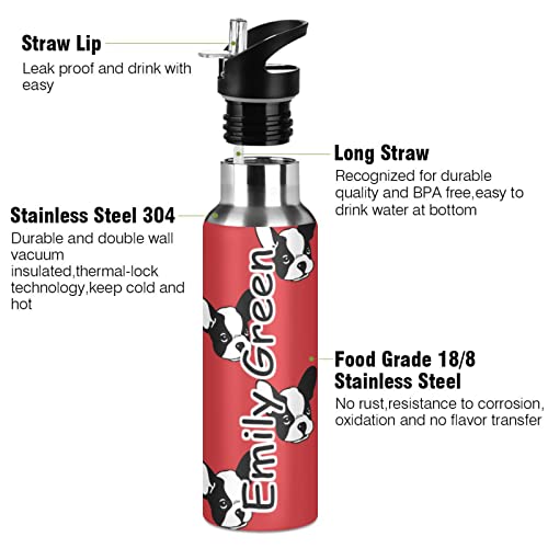 Personalized Custom Name Insulated Girls Boys Water Bottles French Bulldog Head Vacuum Stainless Steel Thermos Mug with Straw Lid & Handle 20 oz