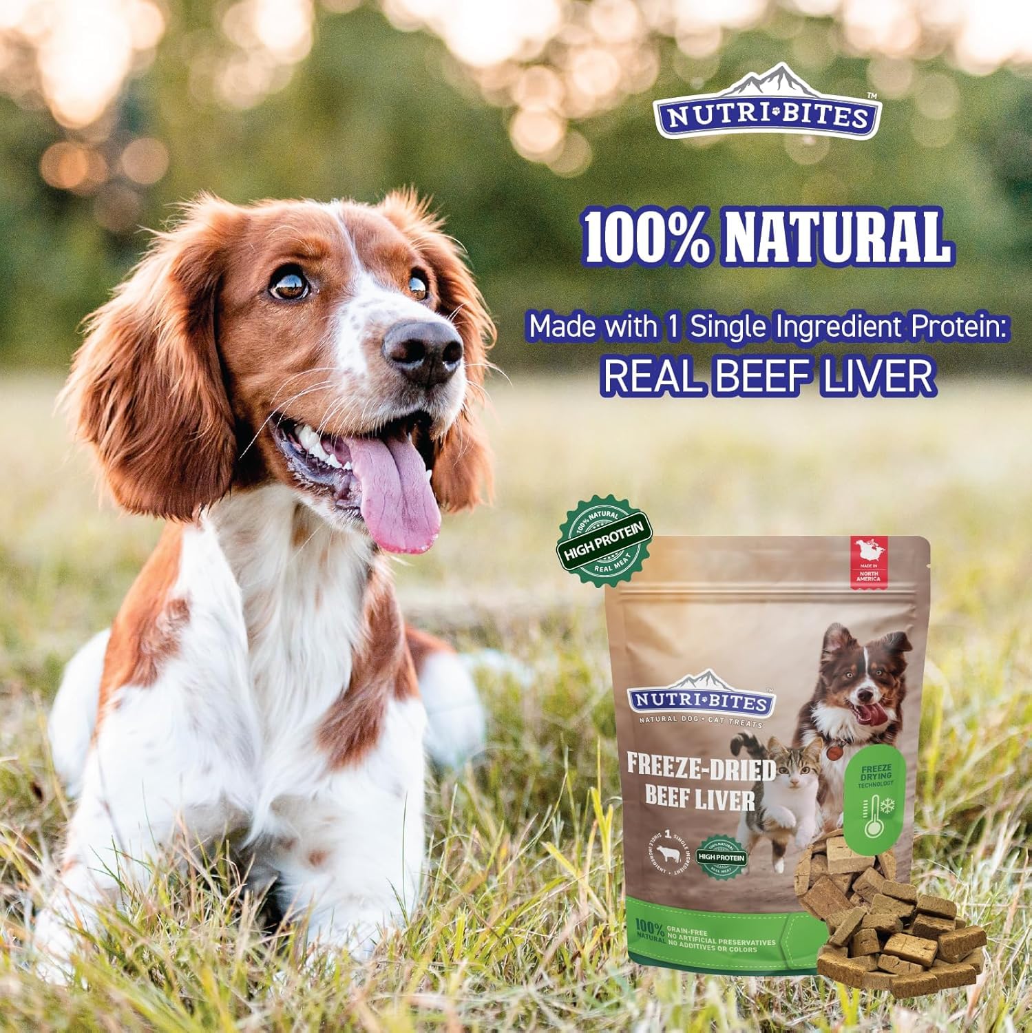Nutri Bites Freeze Dried Beef Liver Treats for Dogs & Cats, Single Ingredient, No Additives, Perfect for Training, Sensitive Diets, 17.6 oz(Pack of 1)