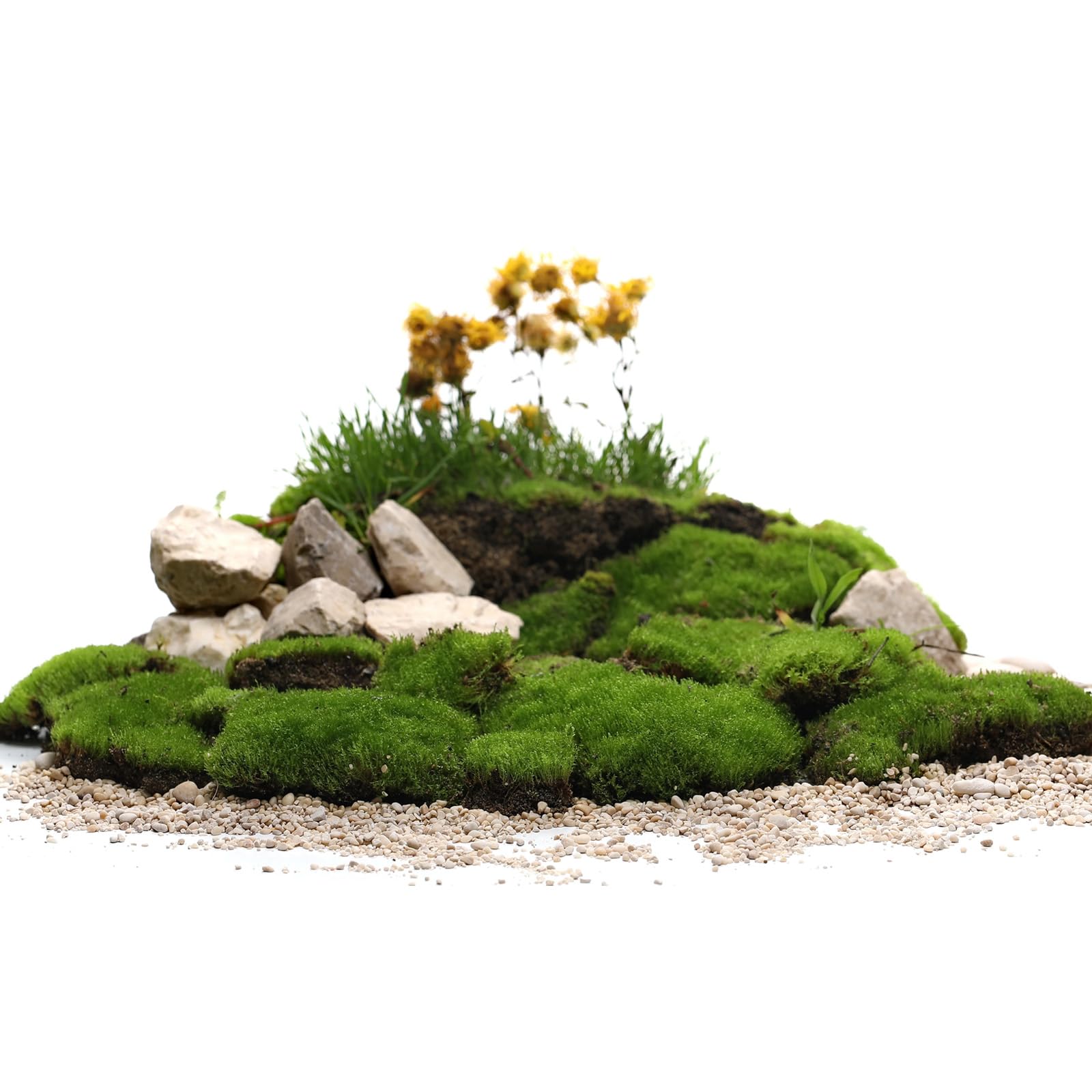 MECCANIXITY Static Grass, Nylon Artificial Grass Powder 3mm 2 x 30g Artificial Grass Fake Grass Tuft Model for Train Landscape Railway Sand Ground,White, Pack of 2