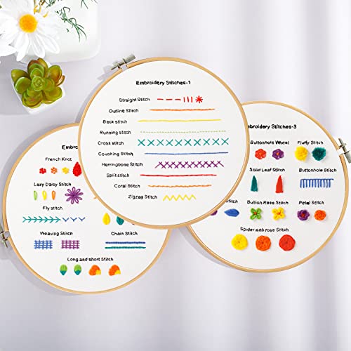 Santune Embroidery Kit - 3pcs Embroidery Patterns with Instructions for Beginners Cross Stitch Kits for Adults with 1 Embroidery Hoops, Color Threads and Needles, Good Hobbies for Women