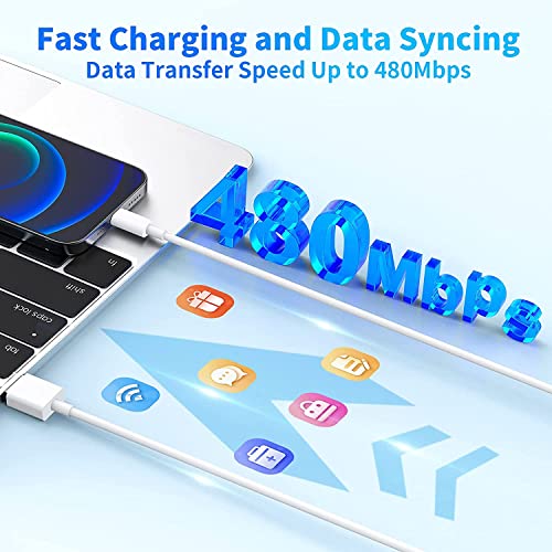 iPhone Charger 10ft, [Apple MFi Certified] Long Lightning Cable Data Sync Charging Cords with USB Wall Charger Travel Plug Adapter for iPhone 13 12 11 Pro Max/SE 2020/X/XR/8/7/6/iPad and More(2Pack)