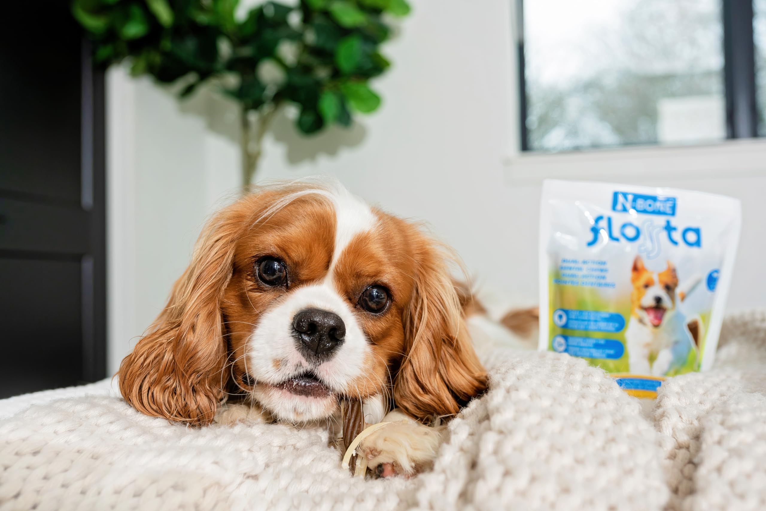 N-Bone FLOSSta Dual Action Dental Chews Mint Flavor, 12-oz Bag