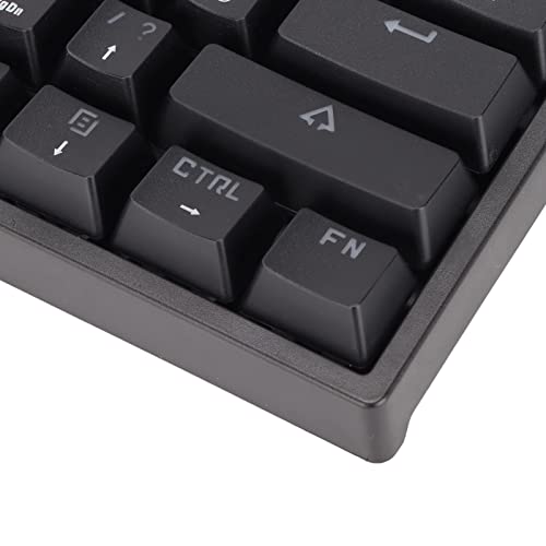 Goshyda Wired Mechanical Gaming Keyboard, 61 Keys RGB Backlight ABS Material Lightweight Portable Plug and Play Blue Switch Keyboard for Home Office