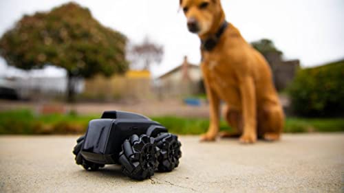 Moorebot Scout - Versatile Tiny AI Camera Robot, Pets/Elderly Watching/Security/Smart Home/Crawlspace Inspection, 1080P, Auto Patrol, Nightvision, Track Option, Indoor (2023)