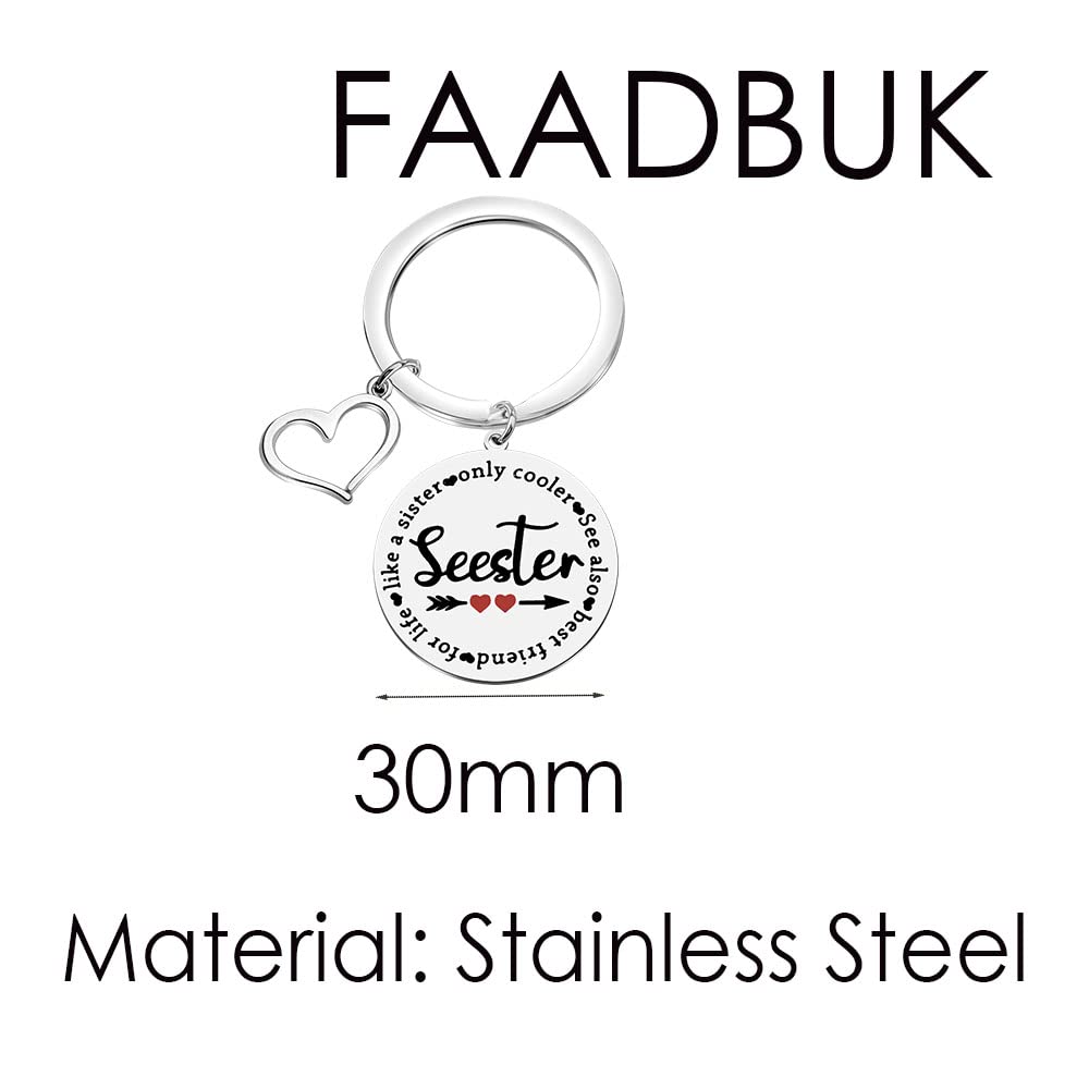 FAADBUK Seester Noun Gift Sister Gift Seester Definition keychain Step Sister Gift Big Sis Lil Sis Gift (Seester Noun)