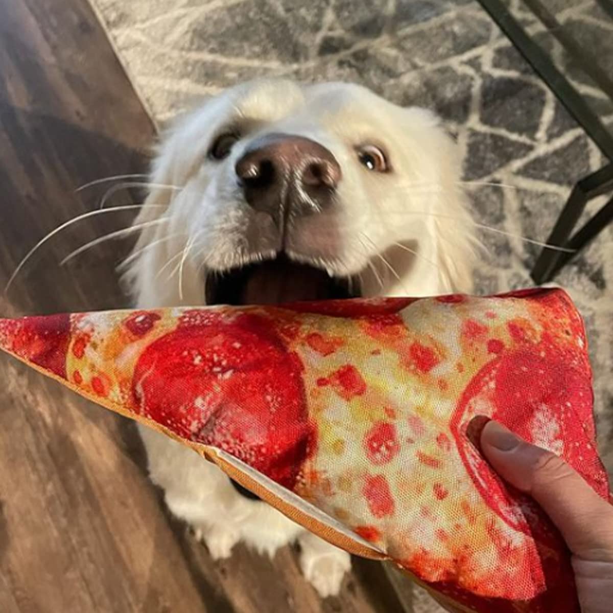 Doggijuana Bundle - Interactive Dog Toy with Juananip Refill - Includes Refillable Plush Catnip Dog Toy & Organic Catnip Refill for Natural Calming - Engaging and Relaxing Pet Play (Pizza/Donut)