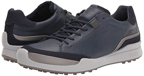 ECCO Men's Biom Hybrid Hydromax Water-Resistant Golf Shoe, Ombre/Buffed Silver/Night Sky, 10-10.5