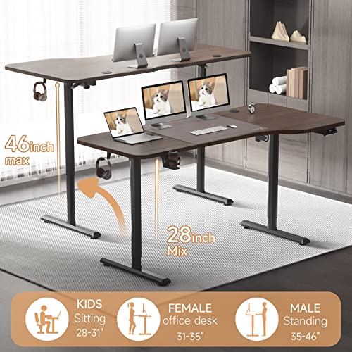 Dripex Adjustable Electric Standing Desk, 55 inch, Grey Brown