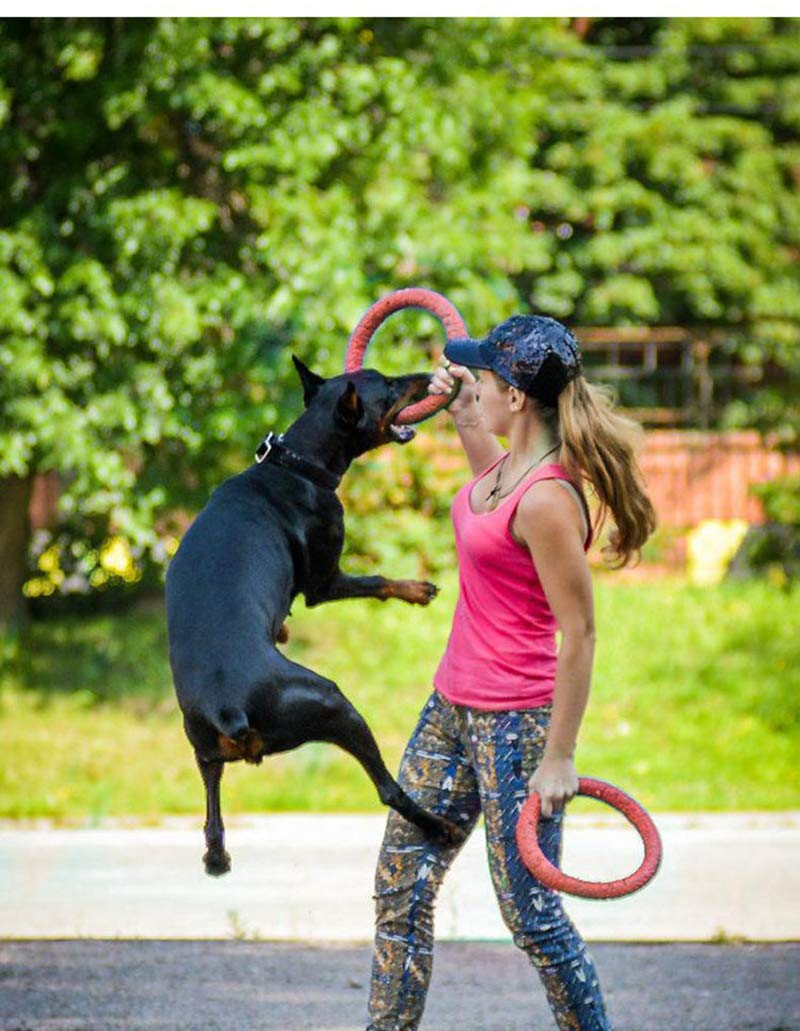 Soft Durable Rubber Tug Ring Dental Chewing Biting Chasing Training Toy for Dogs DT103 Orange 7 inch