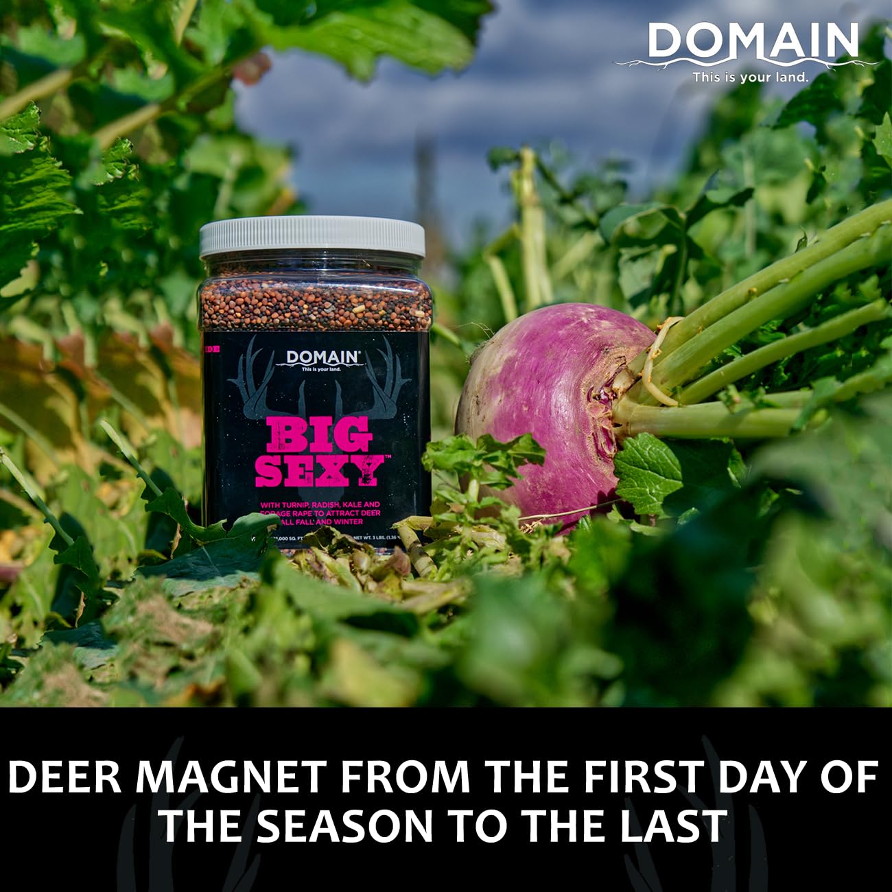 Domain Outdoor Big Sexy Food Plot Seed for Deer, 1/2 Acre, Turnip, Radish, Kale and Forage Rape, High Level of Nutrients & Protein to Support Antler Growth and Health, Fast Germination, Easy to Plant