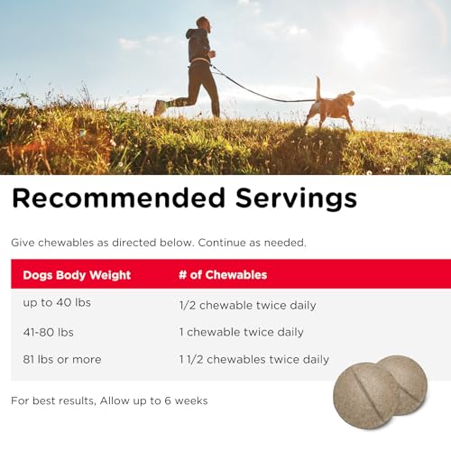 Nutri-Vet Hip & Joint Chewable Dog Supplements - Formulated with Glucosamine & Chondroitin for Dogs - 75 Count