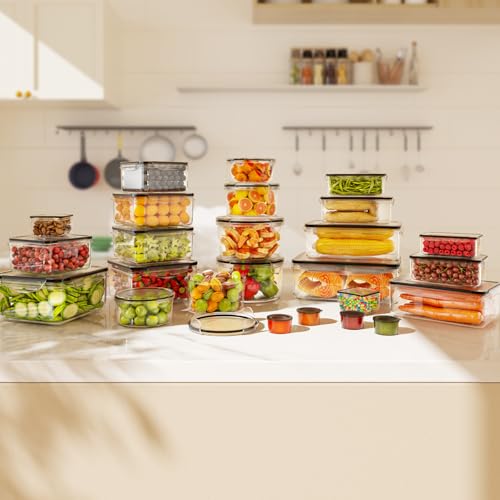 Fyrnova 50-Piece Food Storage Containers with Lids (25 Containers & 25 Lids), Airtight Plastic Food Containers for Pantry & Kitchen Organization, BPA-Free, Leak Proof, Reusable with Labels & Pen