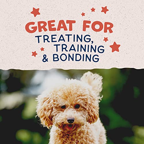 Natural Balance Limited Ingredient Mini-Rewards Salmon Grain-Free Dog Training Treats for Dogs | 5.3-oz. Canister