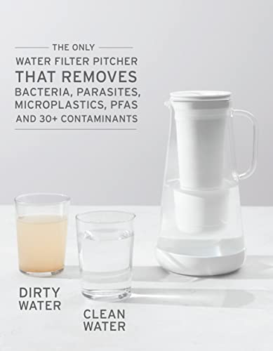 LifeStraw Home Pitcher Glass and Silicone Base 7 cup Pebble