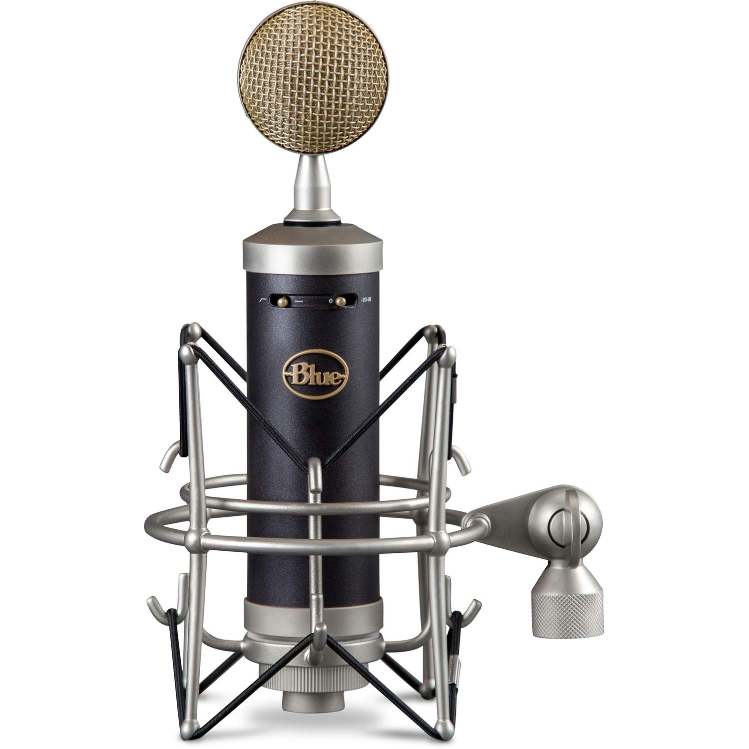 ERUIOLA Blue Baby Bottle SL Studio Condenser Microphone with RF-5P-B Reflection Filter, Tripod Mic Stand, Pop Filter & XLR Cable Bundle