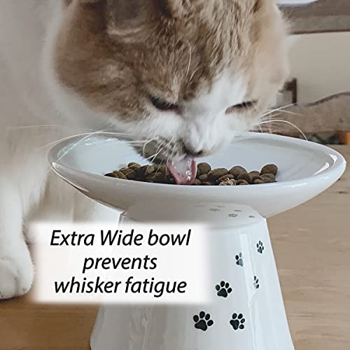 Necoichi Extra Wide Raised Cat Food Bowl (Cat, Extra Wide)