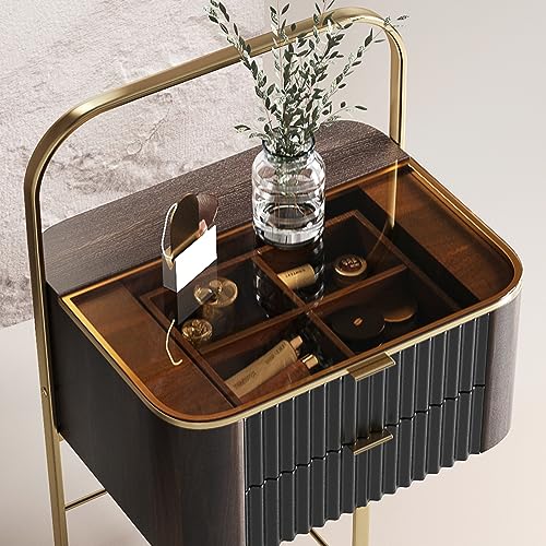 Lartis Premium nightstand, Stylish Design, 2 Drawers,Very Easy to Assembly, End Table Bedside Table,Stainless Steel Gold Plated feet(Elegant Black)