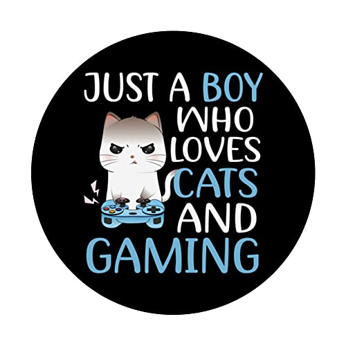 Just A Boy Who Loves Cats And Gaming Boys Gamer Cat Funny PopSockets Swappable PopGrip