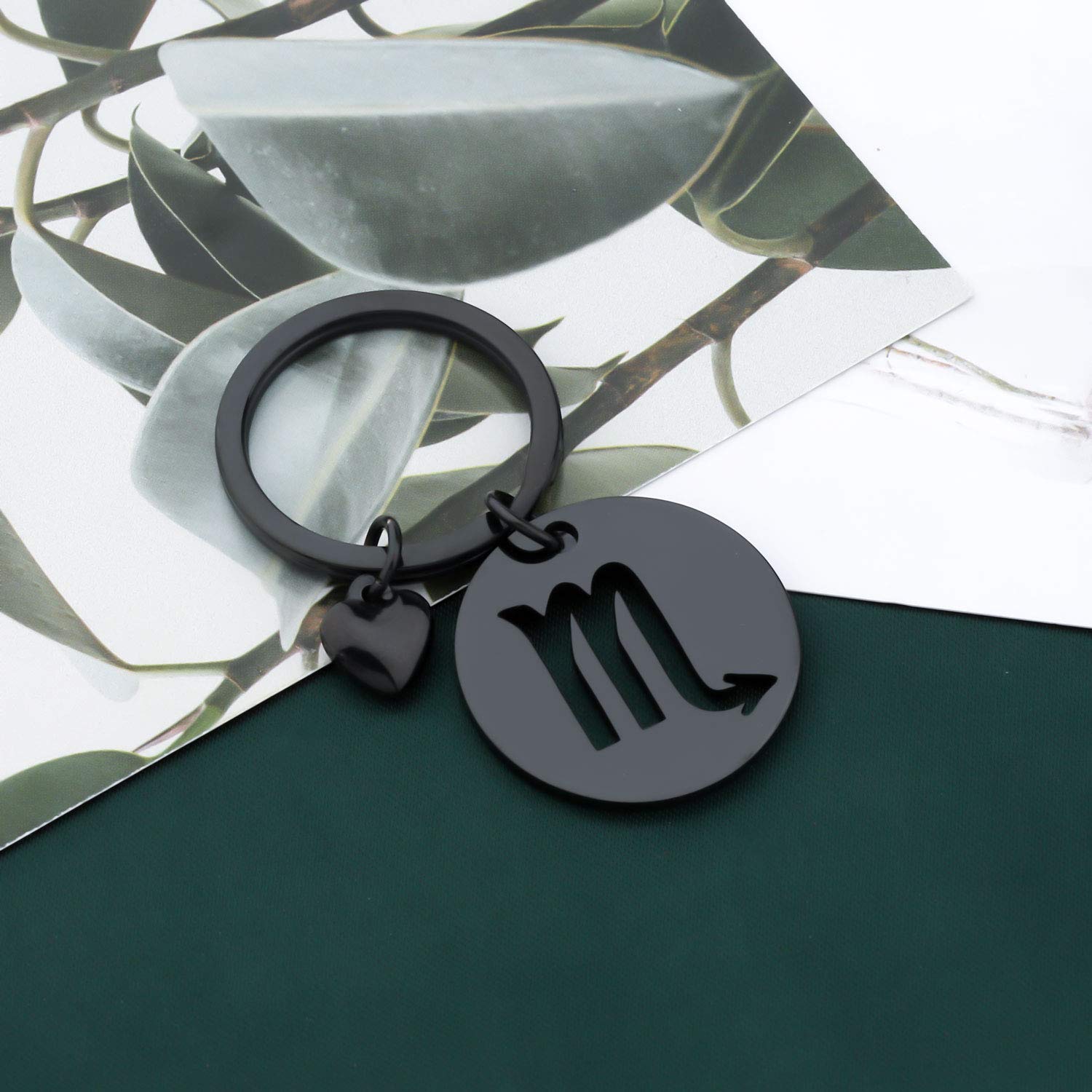 FAADBUK Zodiac Sign Keychain CZ Horoscope Gift Zodiac 12 Constellation Pendant Keyring Birthday Friendship Astrology Gift (Scorpio K-Bl)