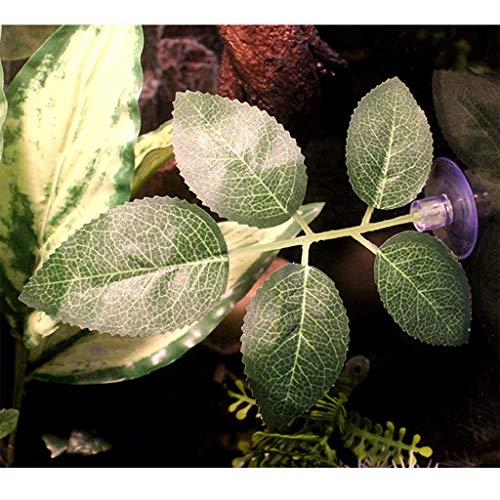 Mllepjdh Betta Fish Hammock Plastics Betta Leaf Pad Aquarium Plant Leaves Accessories for Playing Fish Tanks Hideout Decoration Pet Rainbow Ball Foam Pets Dog Training Training Ball Dog Treat