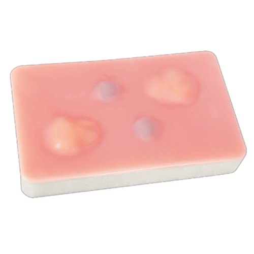 Model Teaching Model Cyst Model Skin Cyst Excision Model Training Suture Pad Skin Model Lipoma Model for Medical Practice for Teaching