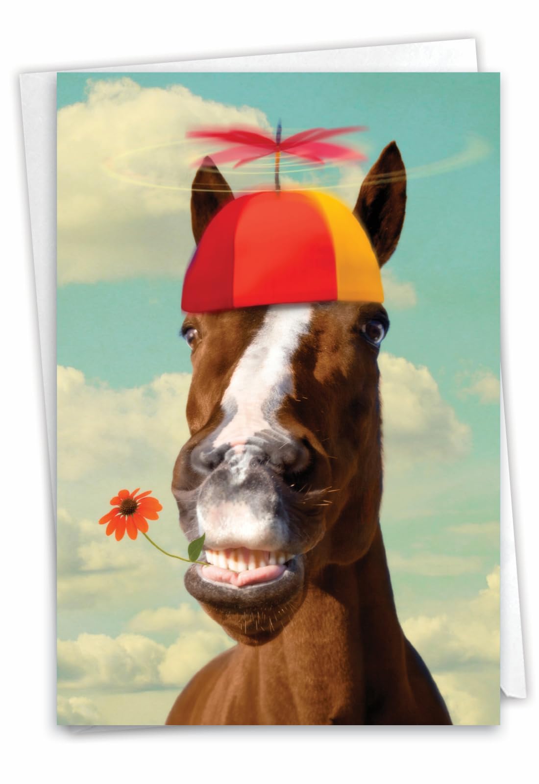 NobleWorks - 1 Happy Birthday Card with Funny Animals - Wildlife and Pet Humor, Fun Birthday Celebration Notecard - Horse Around C9304BDG