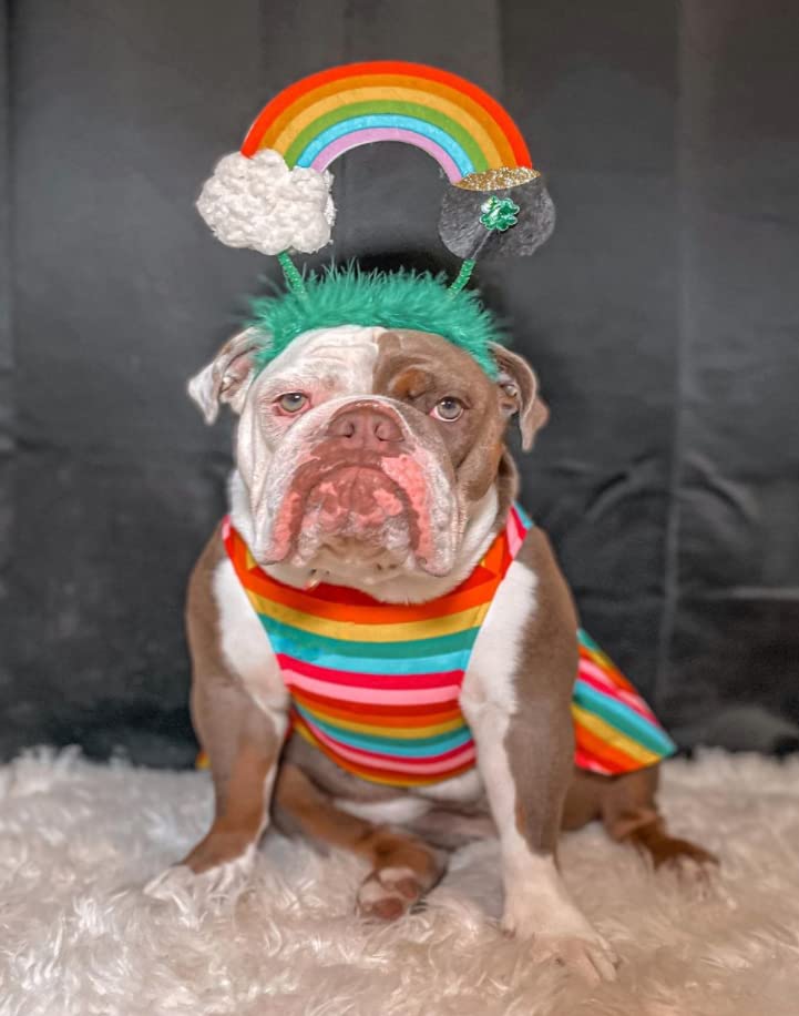 Midlee St. Patrick's Rainbow Pot of Gold Dog Headband