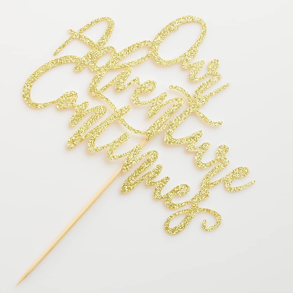 Our Adventure Continues Cake Topper, Travel Theme Wedding Anniversary Party Decor, Engagement/Bridal Shower Cake Decor, Gold Glitter