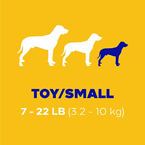 PEDIGREE DENTASTIX Toy/Small Dog Dental Treats Original Flavor Dental Bones, 13.97 oz. Pack (58 Treats)