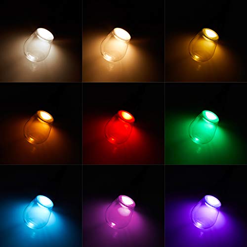 Honeywell 24FT Linkable Water Resistant LED Indoor Outdoor Color Changing String Light with Remote Control, Commercial Grade Patio Lights with 8 Plastic E26 Bulbs Create Cafe Ambience in Your Backyard