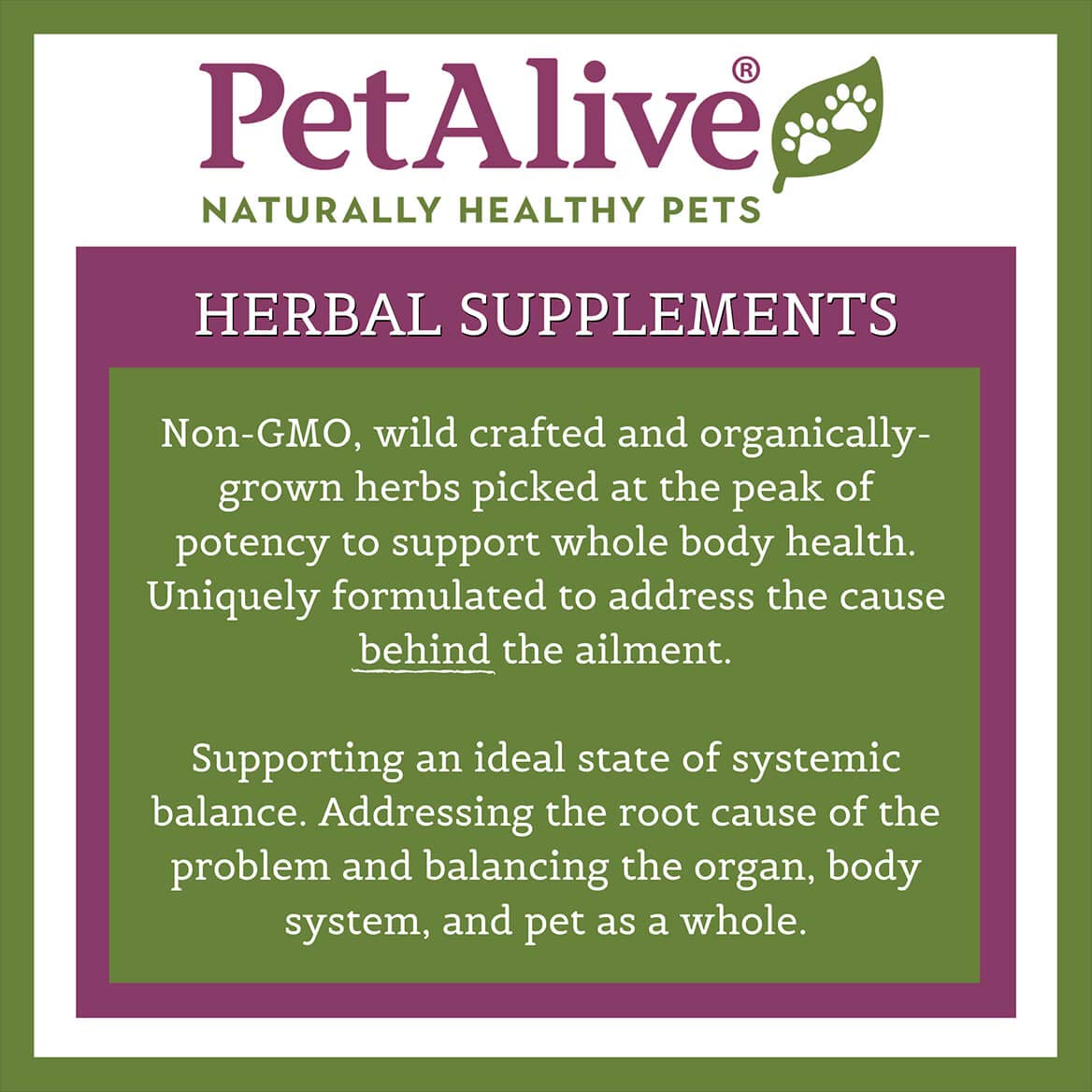 PetAlive AnalGlandz - Natural Herbal Cleansing Solution for The Anal Glands of Dogs and Cats - 59 mL