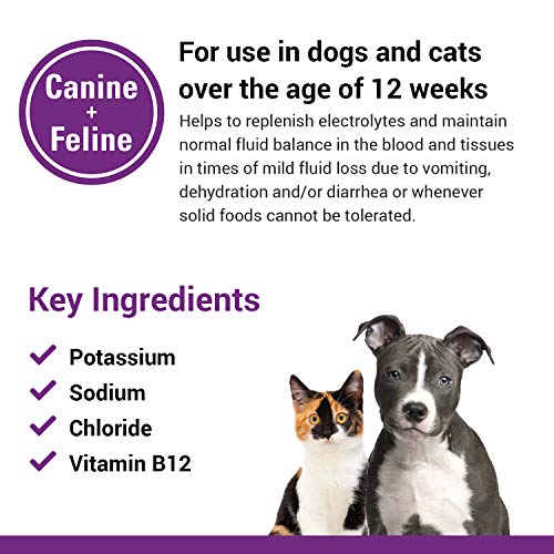 Vet Classics Pet-A-Lyte Oral Electrolyte Solution for Dogs and Cats – Helps Replace Fluids Lost From Pet Dehydration, Diarrhea, Vomiting – Replaces Dog Electrolytes – 32 Oz.