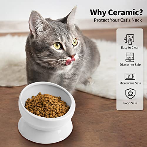 Nucookery Ceramic Cat Food Bowl Elevated,Raised Tilted Bowl Protect Pets' spines and Neck, Anti Vomiting Cat Bowl, Small Dog cat Kitten Supplies (5β, Pure White)
