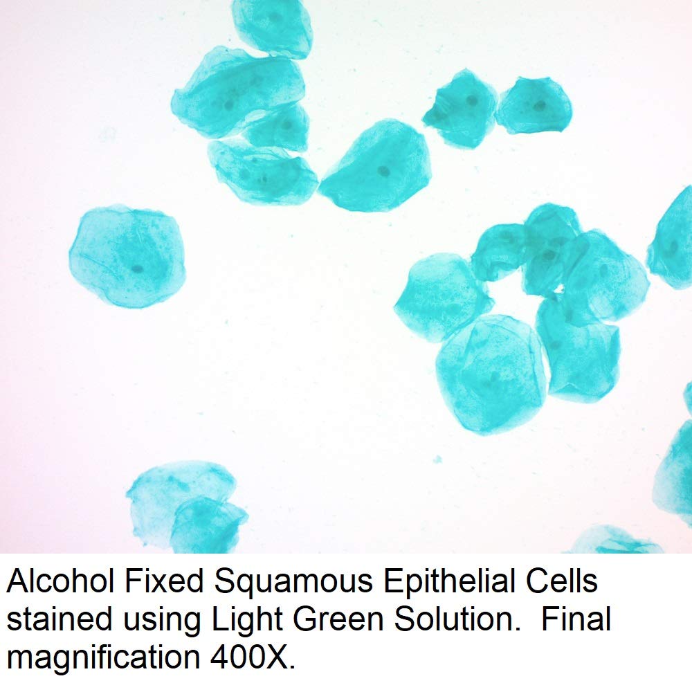 Light Green Solution, 1 Gallon