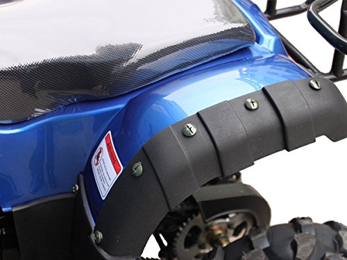 Tao ATV TForce 125cc Big Rugged Wheels and Reverse (Blue)