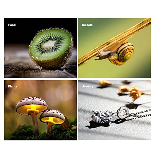 Phone Camera Lens, 2X HD Clip on Cell Phone Lens with Storage Bag and Wiping Cloth, Portable Smartphones Lens for Photography