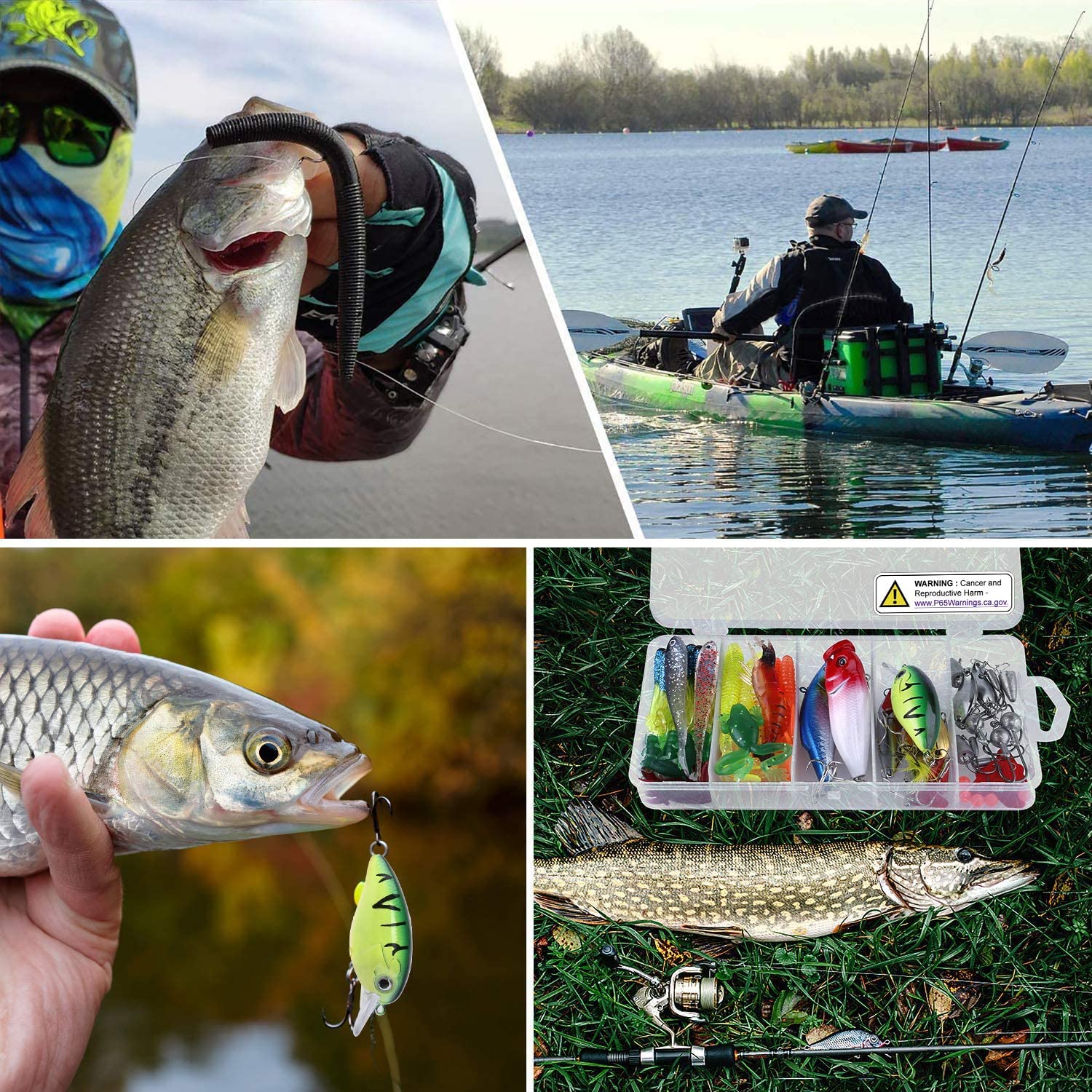 Fishing Lures Kit for Bass, Including Frog Lures, Plastic Worms, Spinner Bait, Crank Bait, Jigs, Topwater Lure with Tackle Box (123PCS)