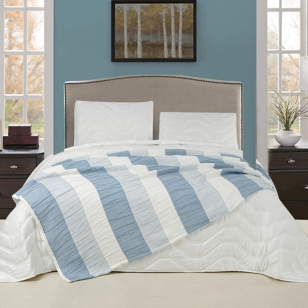 DOWN HOME Lyocell Blends Blanket Throw Reversible Super Soft Stripe Blanket Throw 60x80inch Blue
