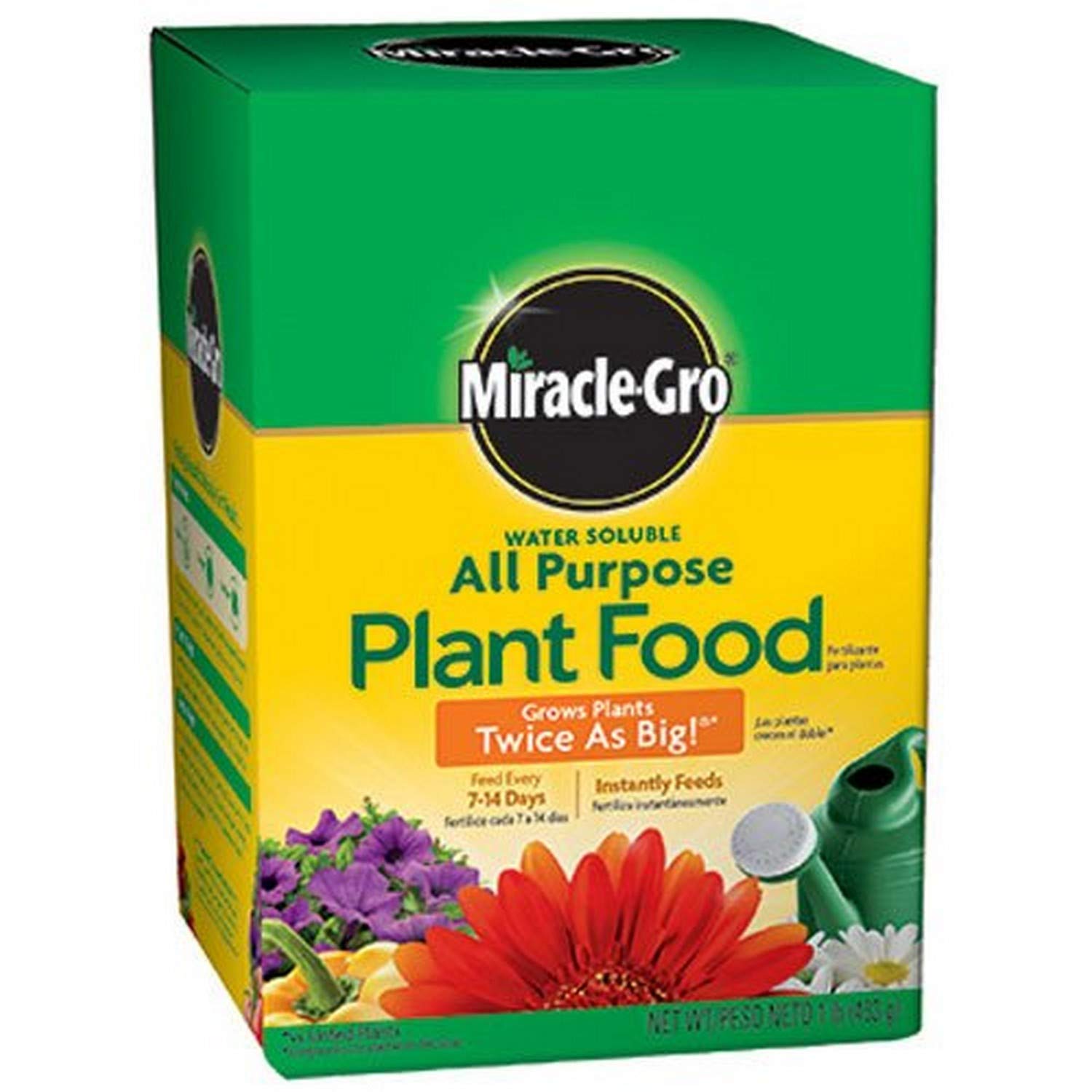 Miracle-Gro Pound 160101 Water-Soluble All Purpose Plant Food, 24-8-16, 1-Po