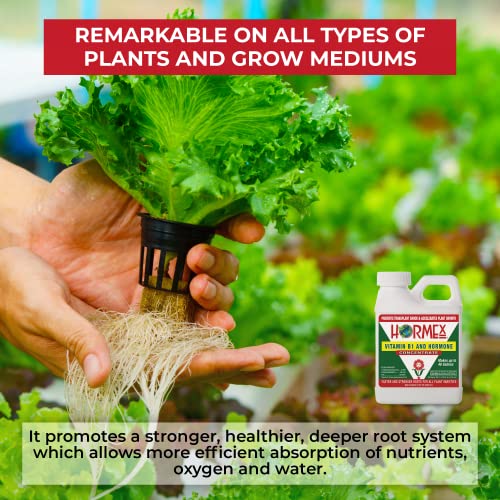 Hormex Vitamin B1 Rooting Hormone Concentrate - Rooting Hormone for Hydroponics, Aeroponics, Established Plants, Cuttings and More, Indoor and Outdoor Plant Growth Stimulator Concentrate - (8oz)