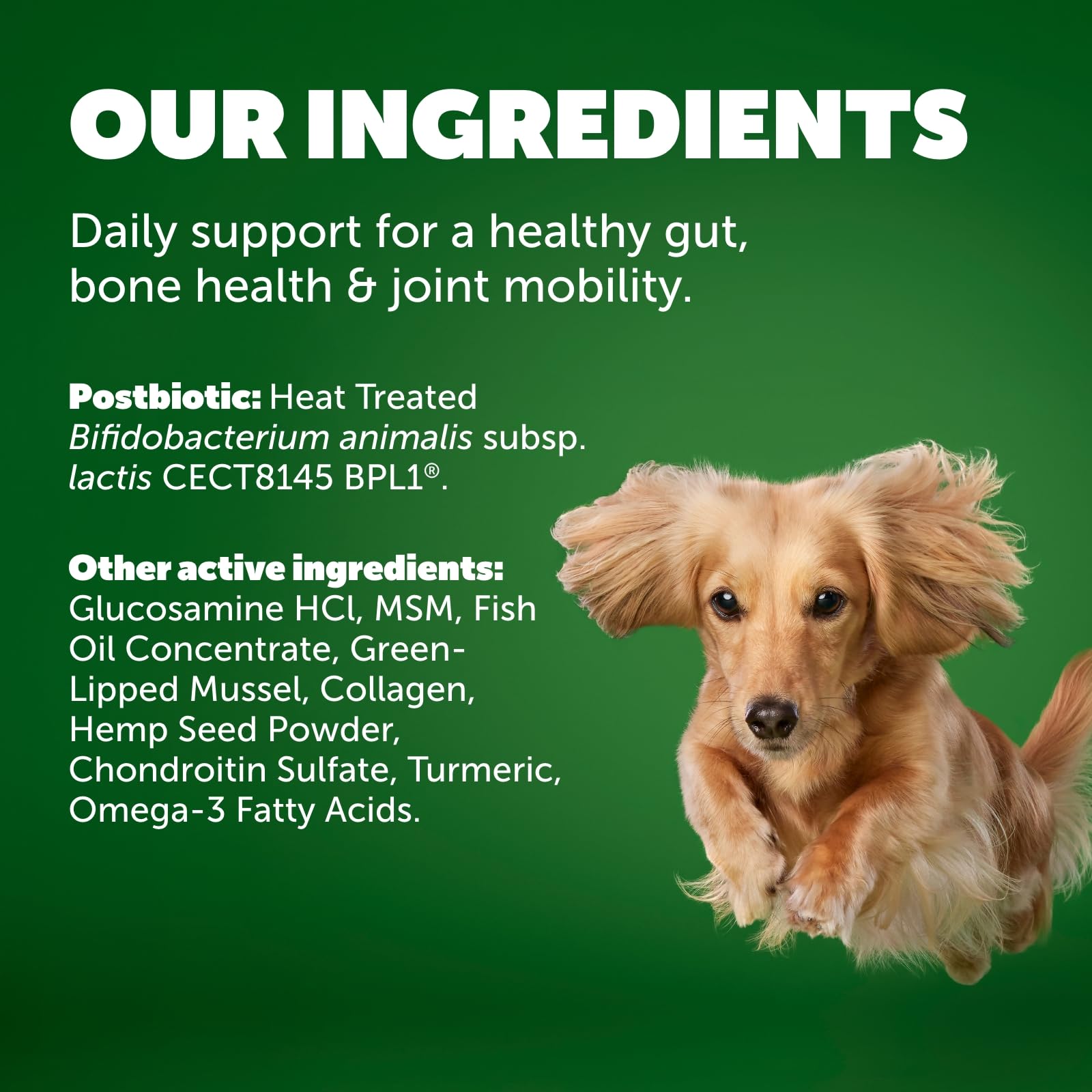 Protexin Daily Care Gut+ Mobility, 60 postbiotic Dog Supplement Chews โ Chicken and Bacon Flavored