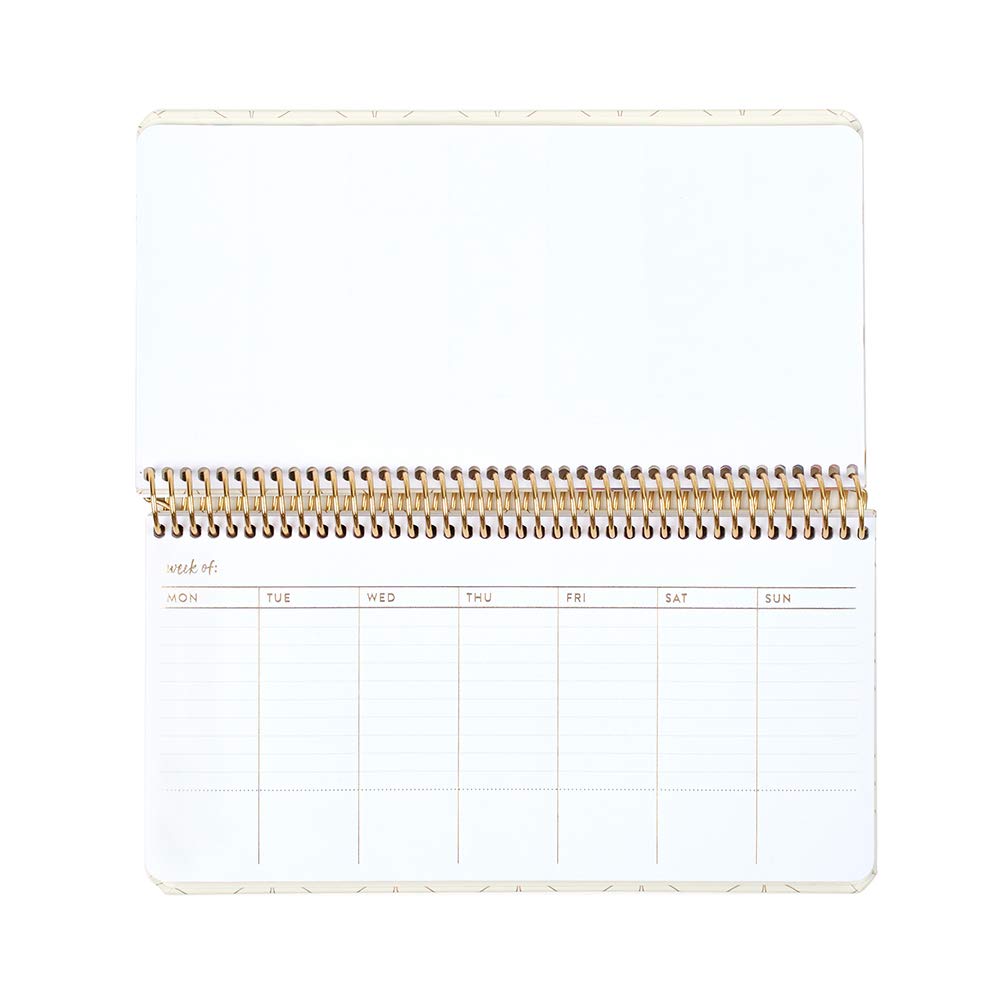 Erin Condren Designer Desk Accessories - Weekly Schedule Pad & Productivity Pad - Mid Century Circles, 10" x 10", Perfect for Desktop Decor and Weekly Planning