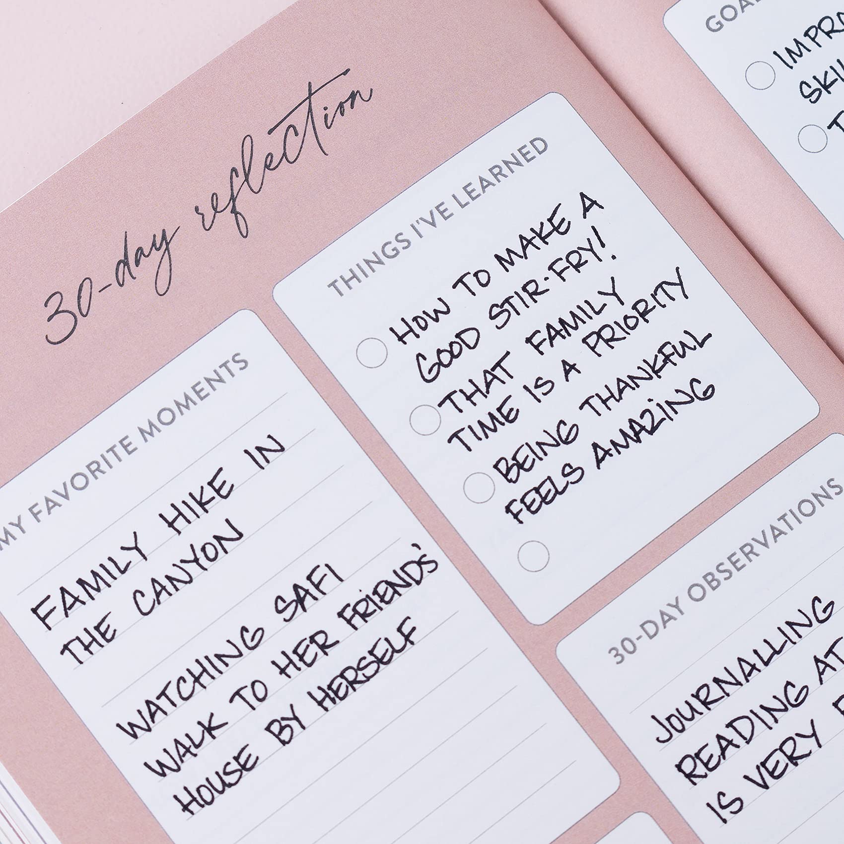 Gratitude Journal/Planner, Edition 3 - Flora. Daily Reflection Notebook. Daily Quotes and Reflection Logs. Sticker Sheet Included. Portable Petite Planner by Erin Condren.