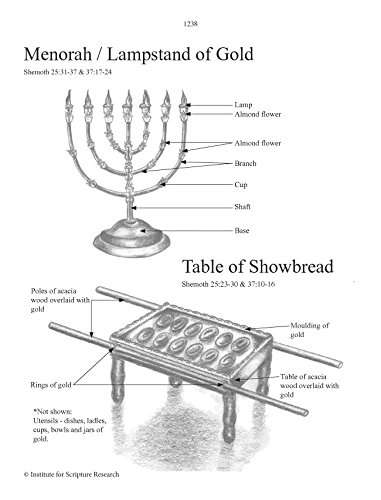 The Scriptures Large Print Duotone Charcoal Edition (ISR)