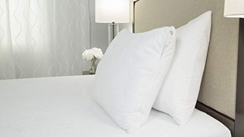 Protect-A-Bed, Premium Cotton Terry Pillow Protector, Zippered, Waterproof, 1-Pack, Queen Size